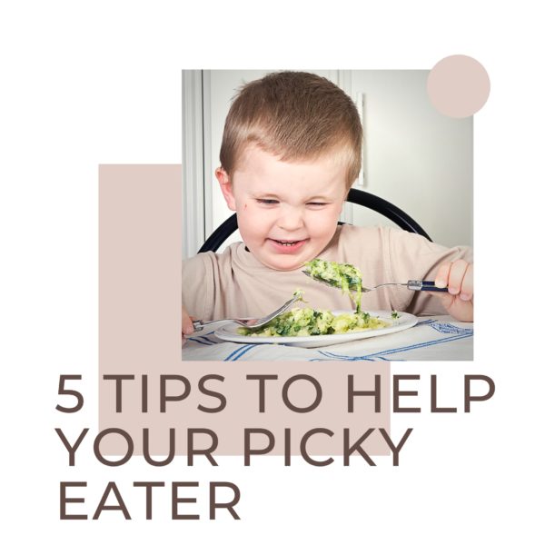 Tips To Help Your Picky Eater When They Hit That Stage | Feeding Bliss