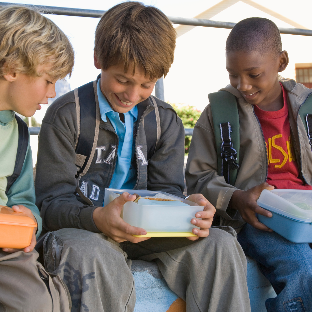 How to pack a healthy lunch for your family - Feeding Bliss
