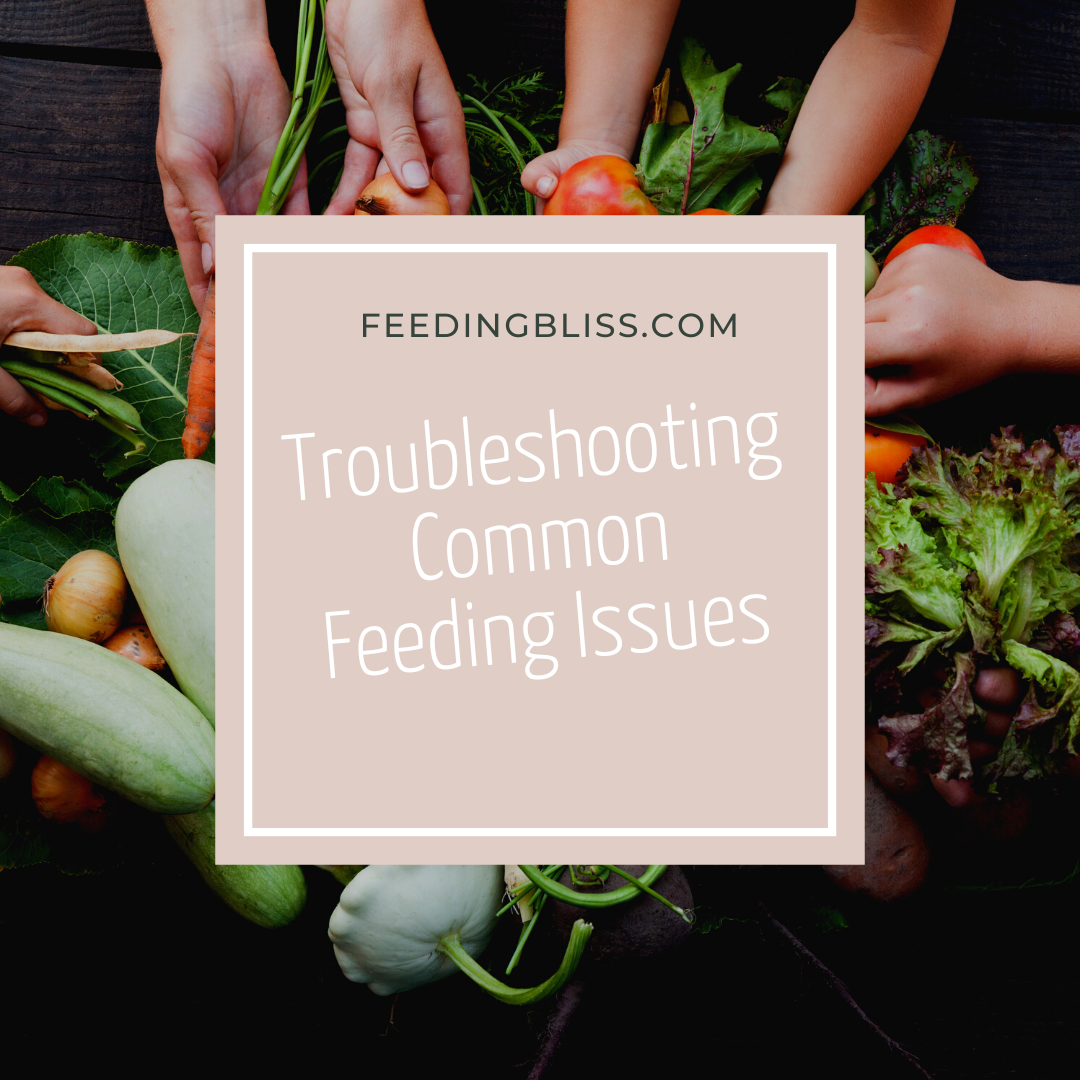 Troubleshooting Common Feeding Issues: A Guide for Parents - Feeding Bliss