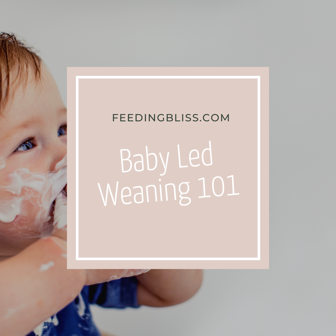 Baby-Led Weaning 101: A Beginner's Guide - Feeding Bliss